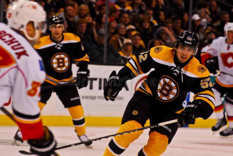 Zach Hamill Boston Bruins editorial stock image. Image of professional ...