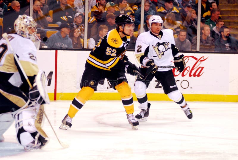 Zack Hamill Boston Bruins editorial image. Image of forward - 23208480