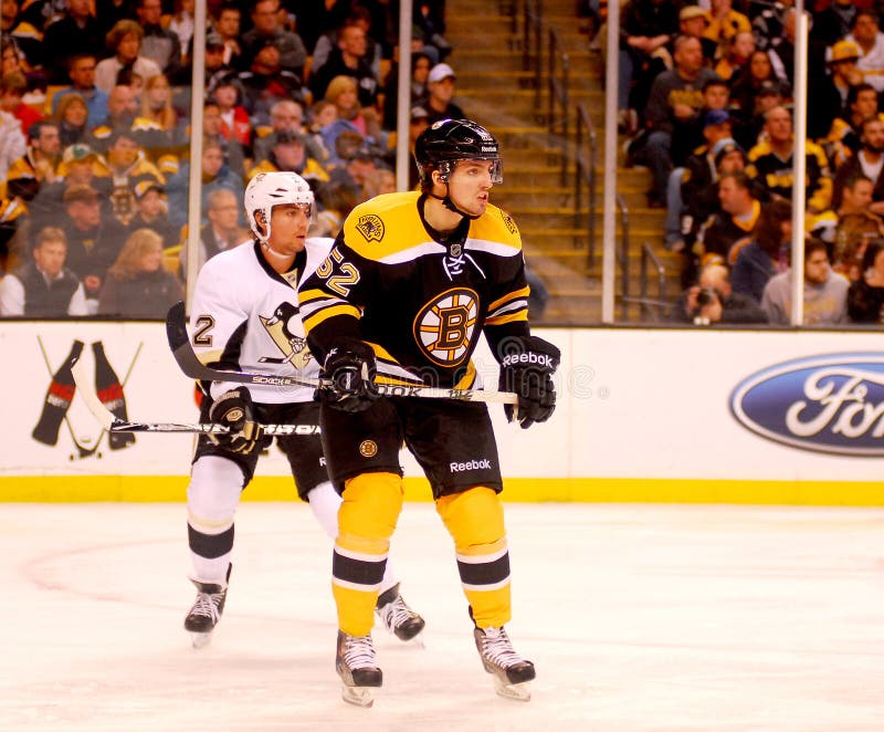 Zack Hamill Boston Bruins editorial stock image. Image of skate - 23208519