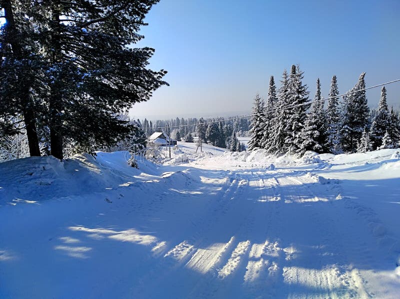 Zaimka by the river. stock photo. Image of cedar, snowdrifts - 244544000