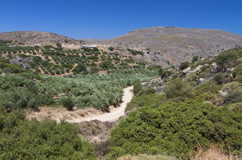 Zakros Gorge at Crete Island in Greece Stock Photo - Image of landscape ...