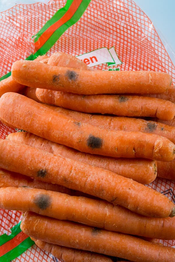 Carne Putrefacta Del Salami Foto de archivo - Imagen de malo, mohoso ...