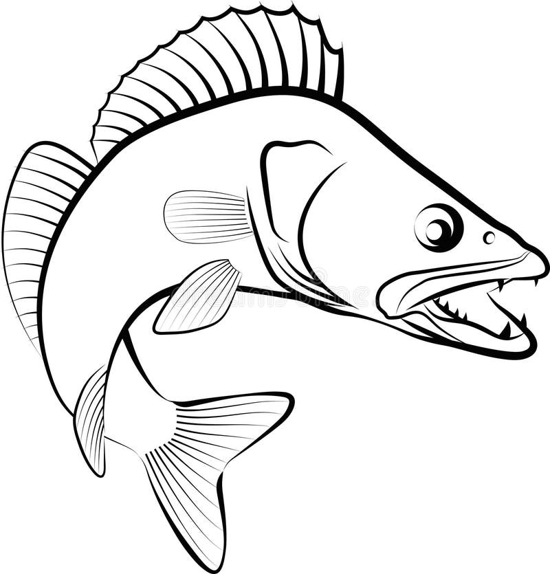 Zander vektor abbildung. Illustration von abbildung - 102622413