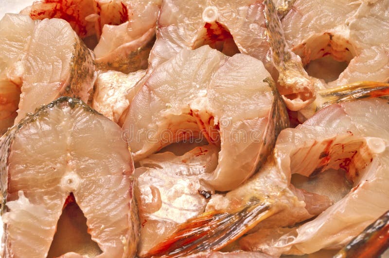 Zander fillets stock image. Image of marine, fish, prepared - 27577887