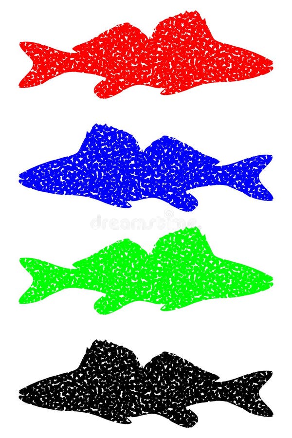 Zander Silhouette Color Set Vector Stock Vector - Illustration of ...