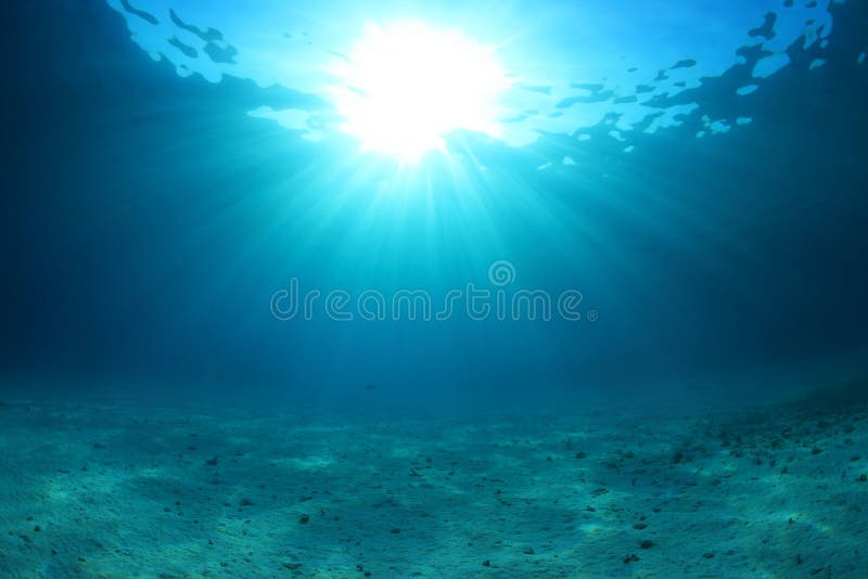 Zandige zeebodem stock foto. Image of overzees, vreedzaam - 84053008