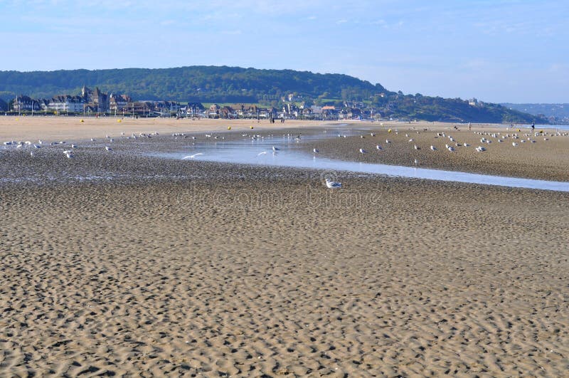 Zandstrand in Deauville stock afbeelding. Image of panorama - 45501567