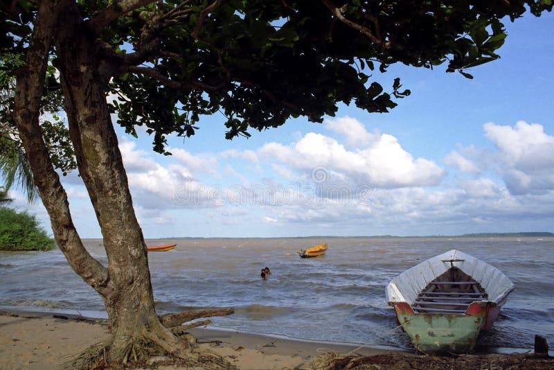 Zandstrand En Rivierlandschap, Suriname Redactionele Stock Foto - Image ...