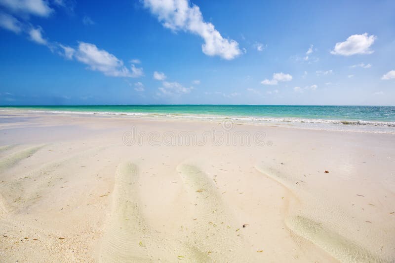 Zanzibar beach stock image. Image of island, seaside - 84523965