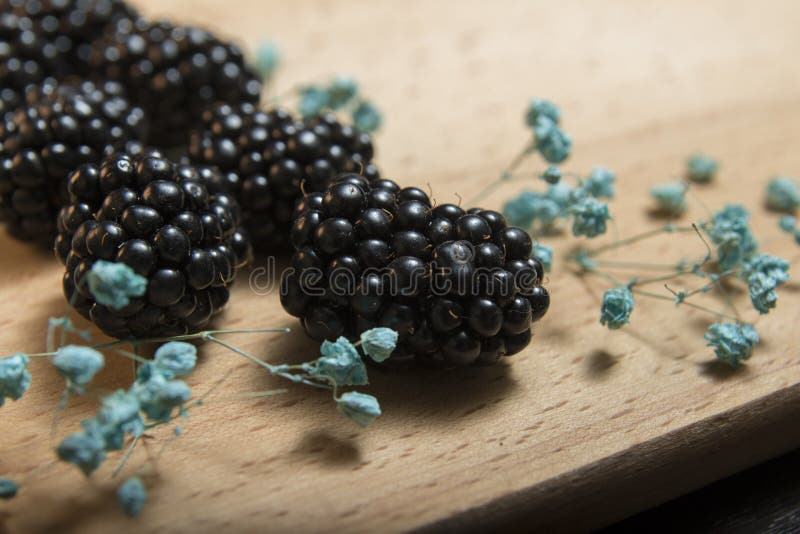 Zarzamoras Con Las Flores Azules Imagen de archivo - Imagen de ...