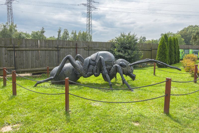 Zatorland Polonia fotografía editorial. Imagen de insectos - 122816032