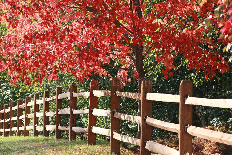 Zaun im Fall stockbild. Bild von blätter, laub, landschaften - 3476011