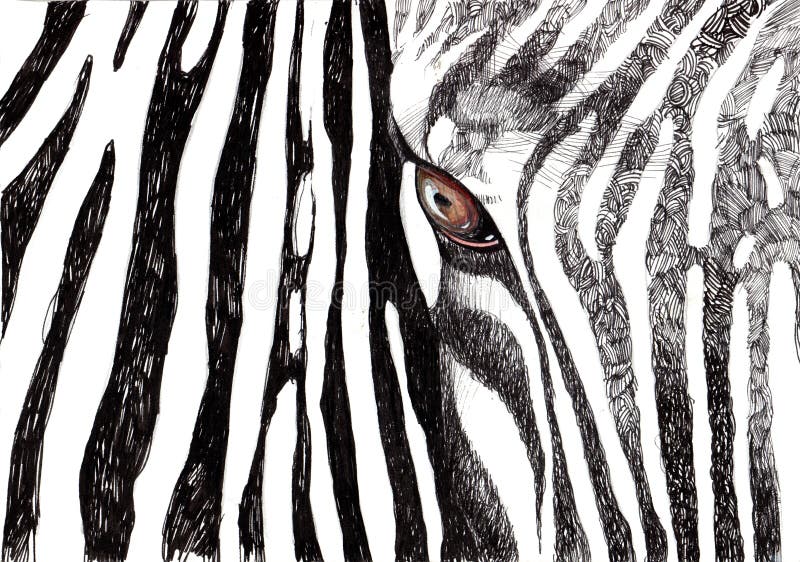 Zebra Effect Stock Illustrations – 3,910 Zebra Effect Stock ...