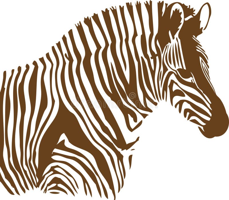 Zebra stock vector. Illustration of africa, exotic, mane - 5558808