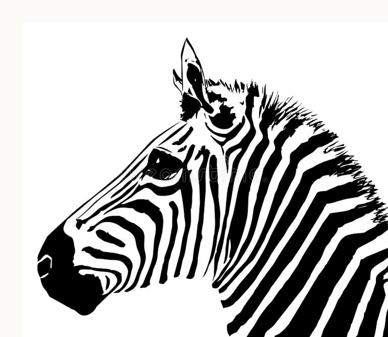 Op Art Zebra Stock Illustrations – 306 Op Art Zebra Stock Illustrations ...