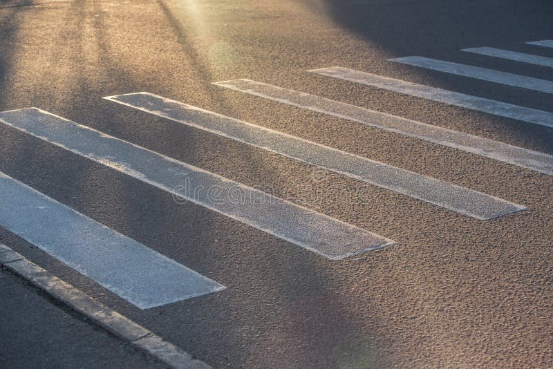 Zebra on the Asphalt of a Pedestrian Crossing Stock Photo - Image of ...