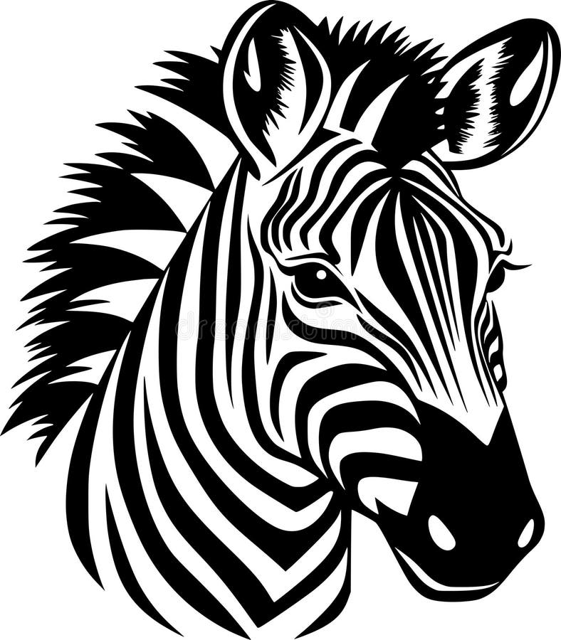 Zebra - Black and White Vector Illustration Stock Vector - Illustration of portrait, horse ...
