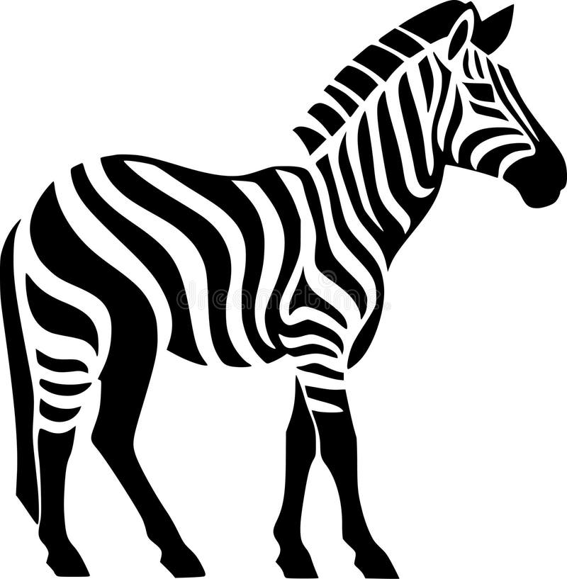 Zebra - Black and White Vector Illustration Stock Vector - Illustration ...