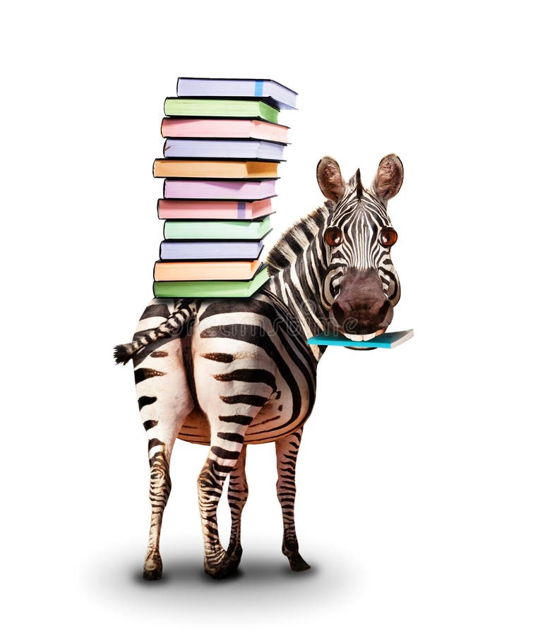 Zebra with Books on the Back and Textbook Concept Stock Illustration ...