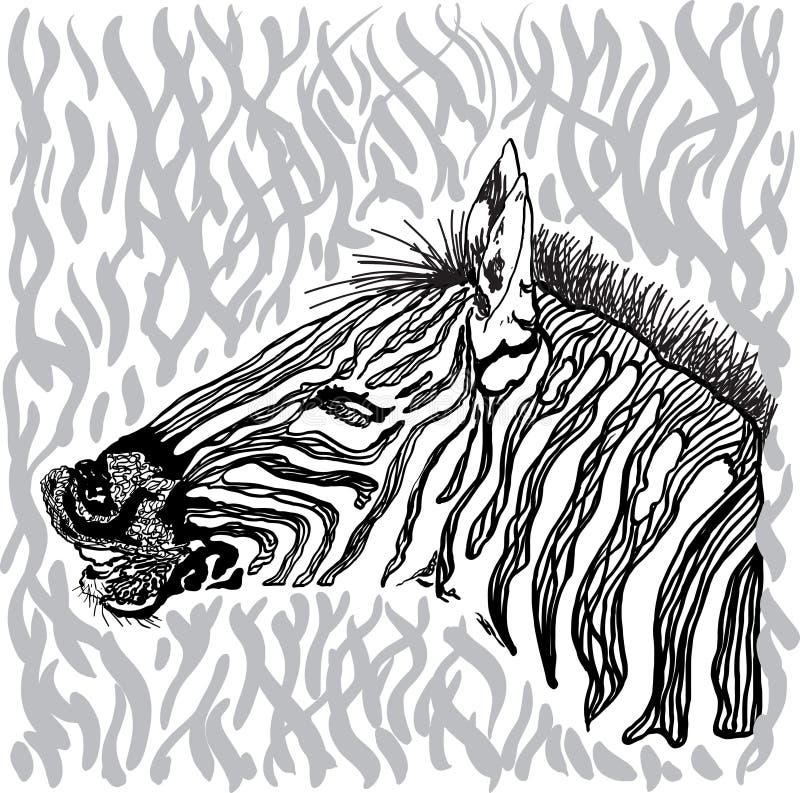 Zebra card stock vector. Illustration of background, bird - 59228394