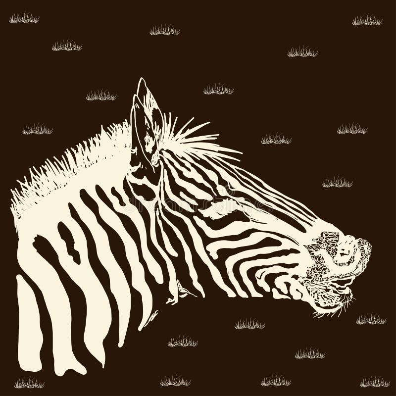 Zebra card stock vector. Illustration of laughing, indian - 59228407