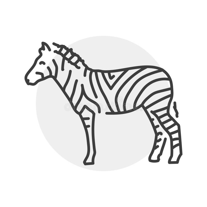 Zebra Color Line Illustration. Animals of Africa. Stock Illustration ...