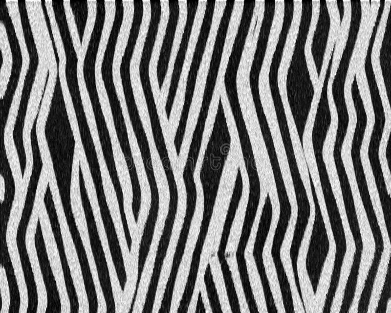 Zebra - animal fur stock image. Image of structure, strong - 759361