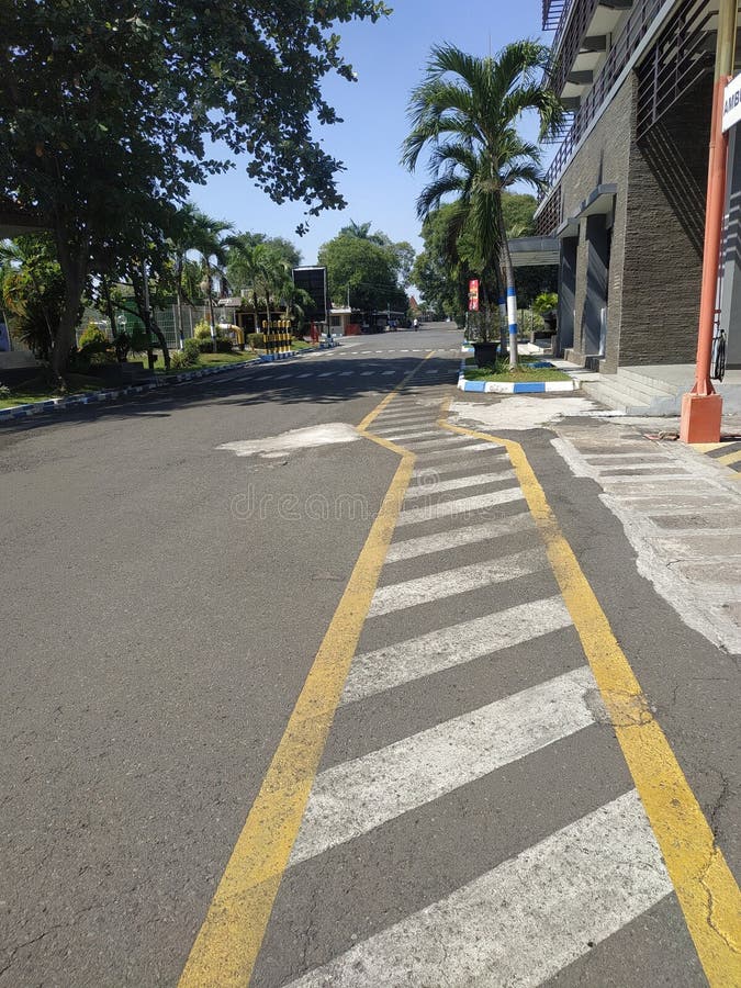 Zebra cross foto sky tree stock image. Image of zebra - 280949133