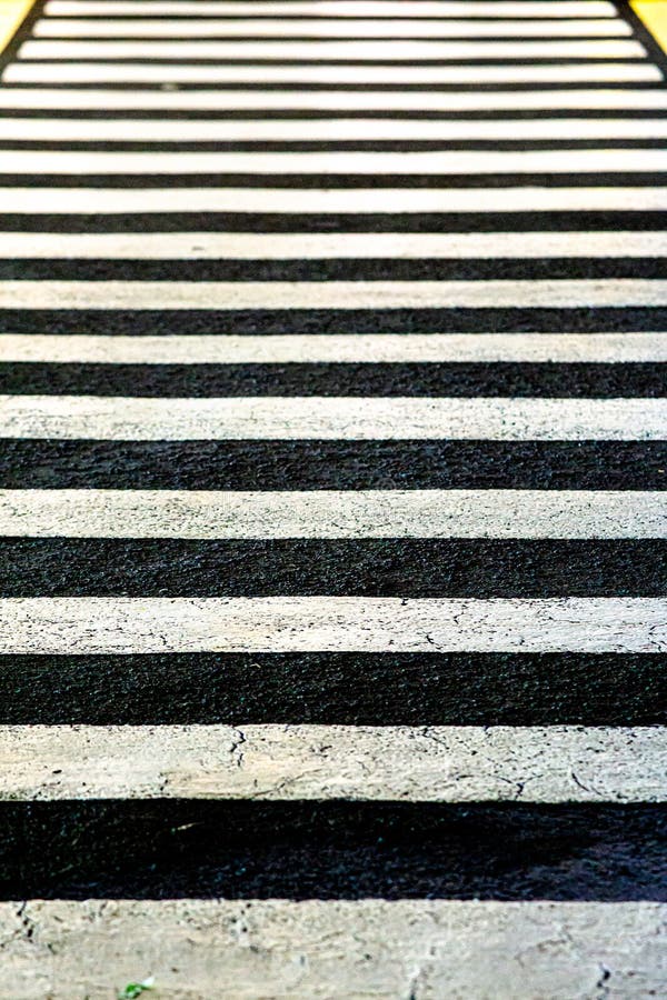 Zebra cross stock image. Image of pedestrian, wall, font - 269388019