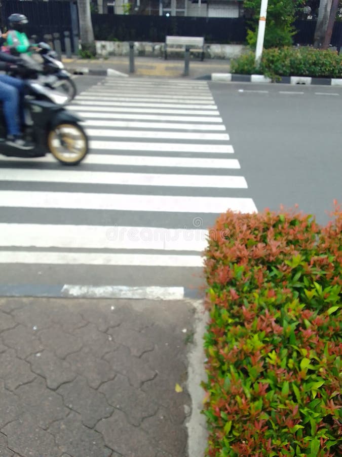 Zebra cross on the road stock image. Image of vehicle - 263018471