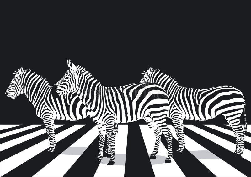 Zebra Crossing stock vector. Illustration of symbol, africa - 21967636