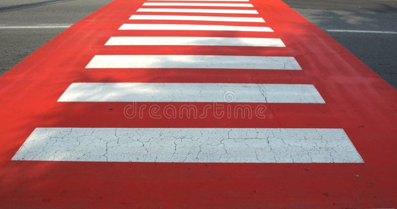 Zebra crossing stock image. Image of paint, traffic, zebra - 7135887