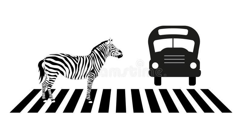 Zebra Crossing at the Crosswalk Stock Vector - Illustration of clean ...