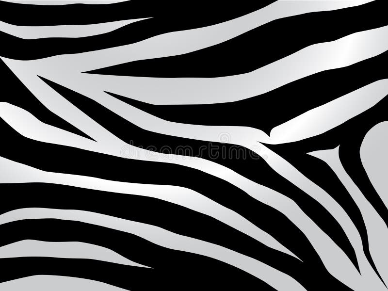 Zebra design stock illustration. Illustration of design - 8445752