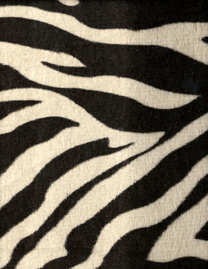 Zebra Fur Pattern stock image. Image of decoration, texture - 17865157