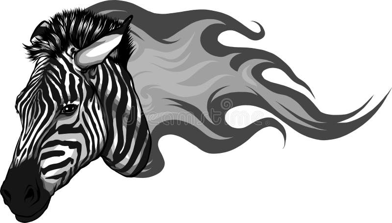 Zebra Head with Flames Vector Illustration Design Stock Vector ...