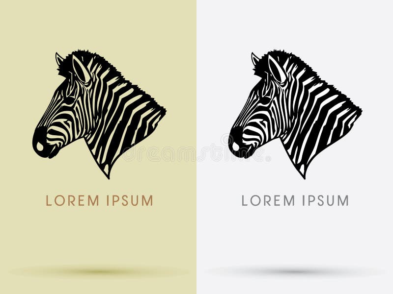 2+ Zebra head vector Free Stock Photos - StockFreeImages