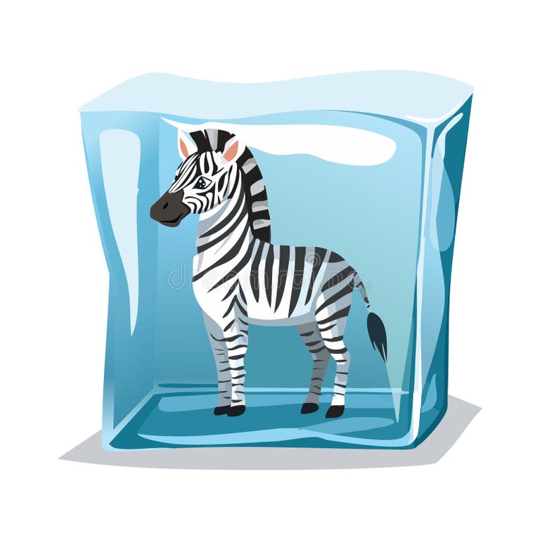 Zebra in the ice cube stock illustration. Illustration of striped ...