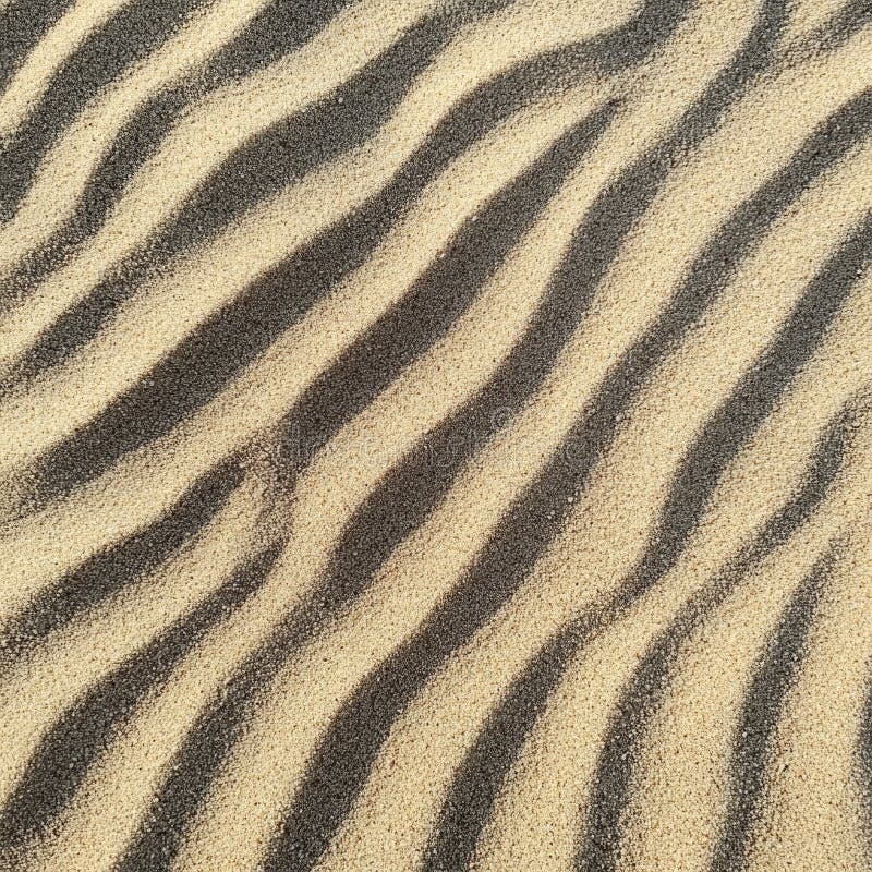 Zebra-inspired Sand Patterns Creating Natural Wave Designs Stock Image ...