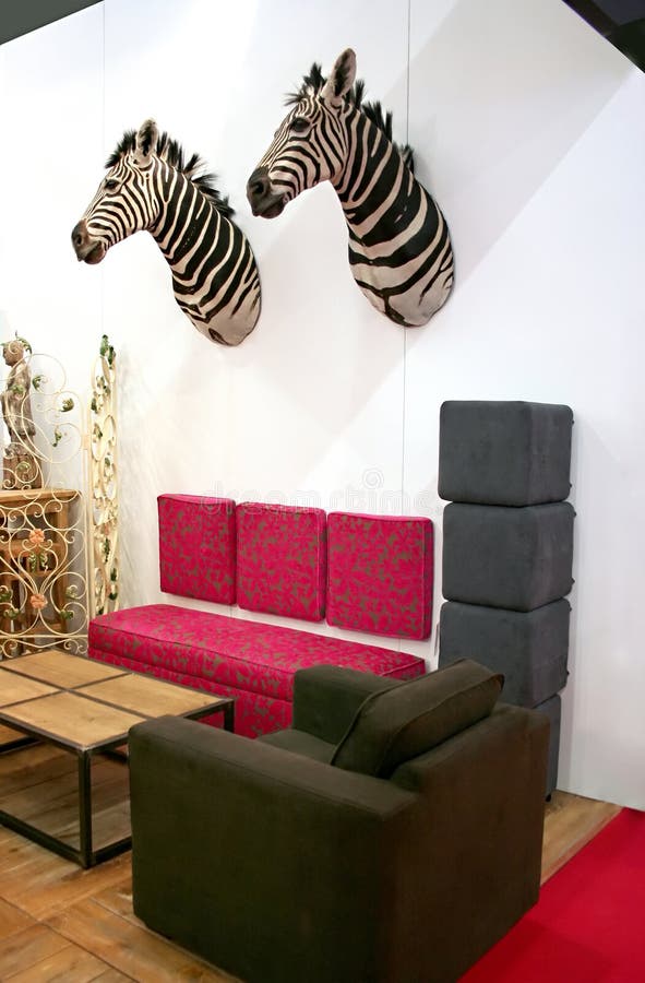 Zebra in interior stock photo. Image of trend, animal - 1829048