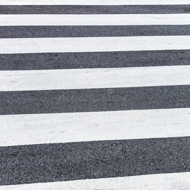 Zebra line stock photo. Image of cross, street, pavement - 66868242