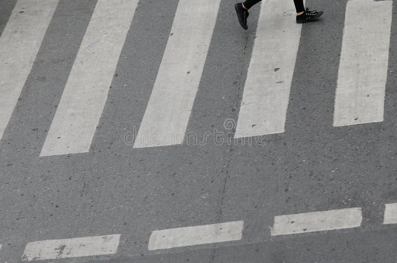 Zebra line street stock image. Image of background, pedestrian - 80357477
