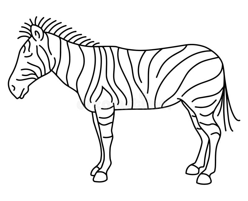 Zebra Line Drawing Stock Illustrations – 5,011 Zebra Line Drawing Stock ...