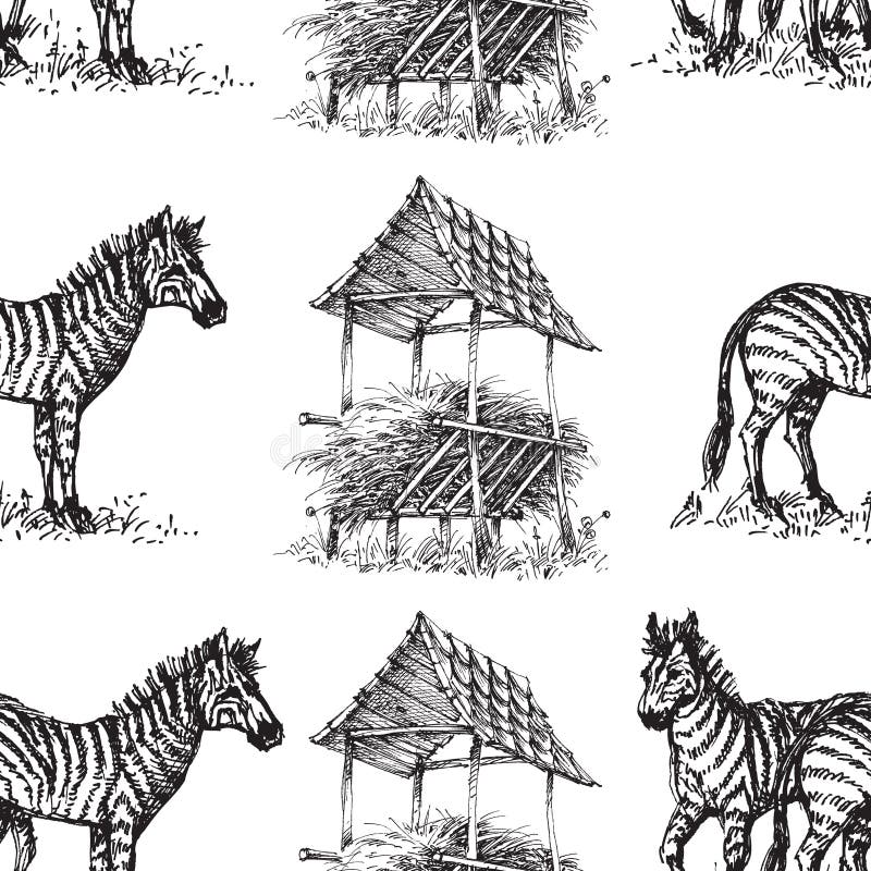 Zebra Naadloos Patroon. Tekening Van Exotische Wilde Dieren. Vector ...