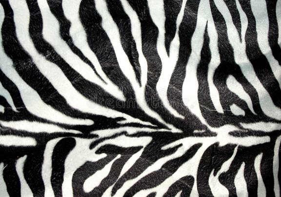 1,469 Zebra Skin Pattern Backdrop Stock Photos - Free & Royalty-Free ...