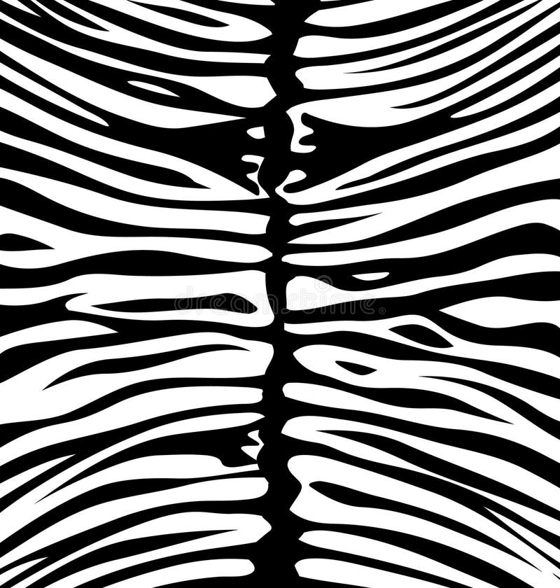 Zebra pattern vector stock vector. Illustration of fauna - 6156146
