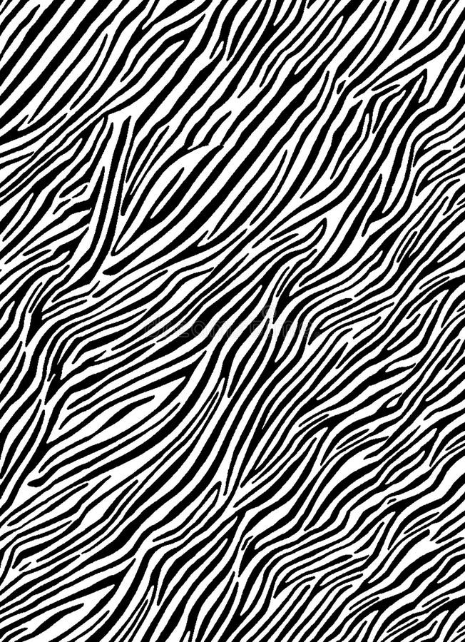 Zebra Pattern, Abstract, New, Innovation, Design Stock Illustration ...