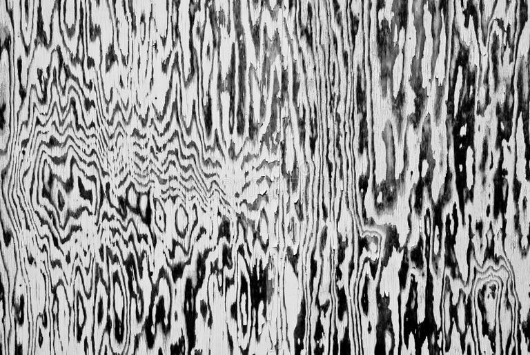 Zebra pattern in old paint stock photo. Image of zebra - 20796714