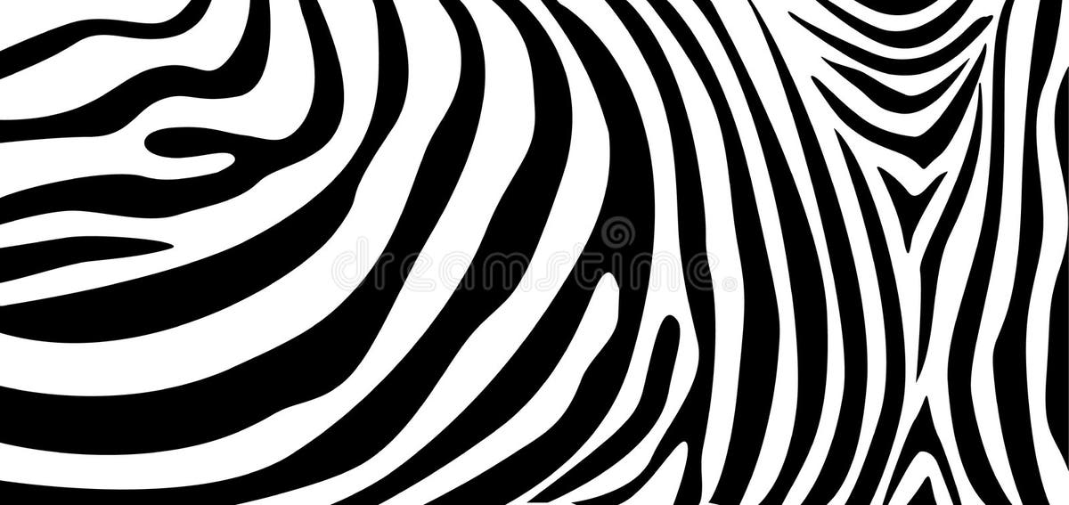 Zebra Black White Line Drawing Stock Illustrations – 3,998 Zebra Black ...