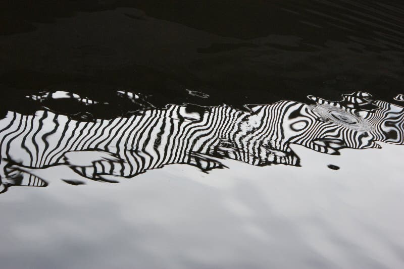 Zebra pattern on water stock image. Image of water, surface - 12950991